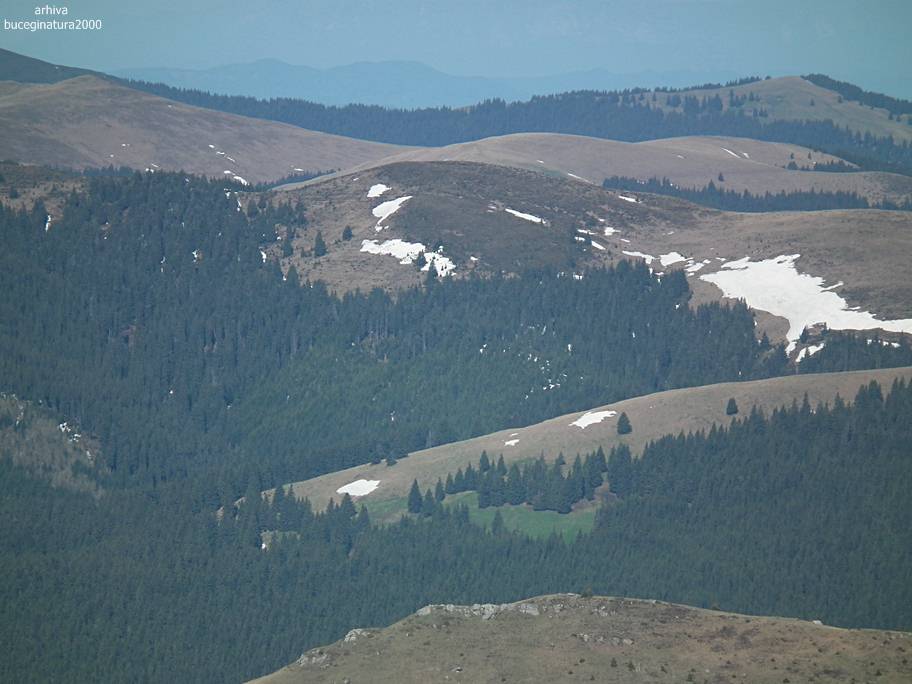 Traseul turistic: Sinaia – Cota 2000 – Complex Piatra Arsa – Babele din ...