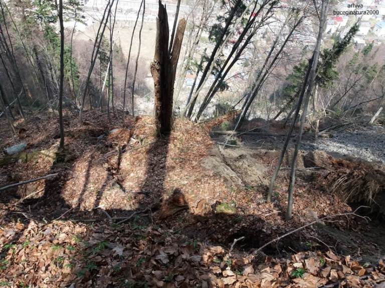 Alunecarea de teren de la Azuga: imagini de pe versant – BUCEGI NATURA 2000