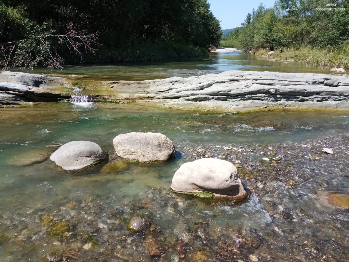 Din nou pe langa raul Prahova – BUCEGI NATURA 2000