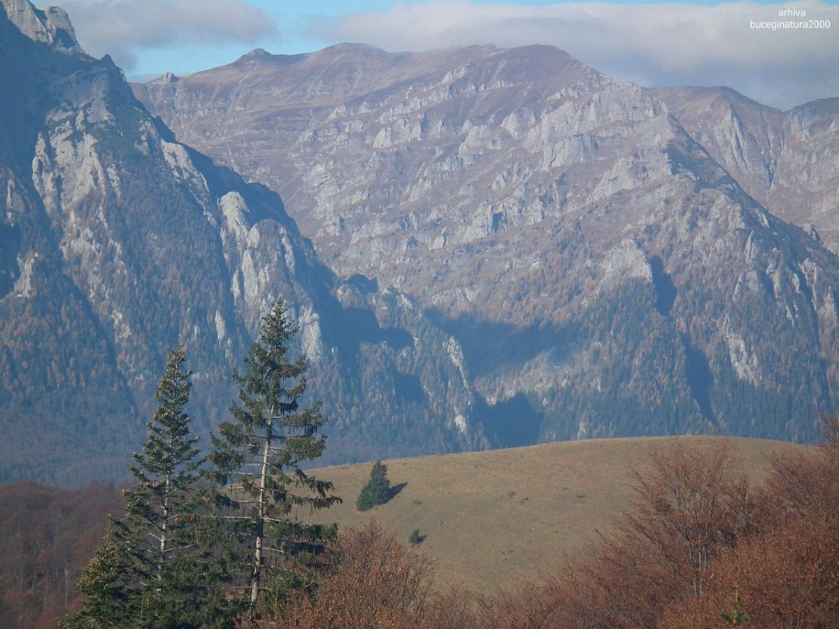 Azuga – culmea Sorica – valea Fetei si spre Sinaia – BUCEGI NATURA 2000
