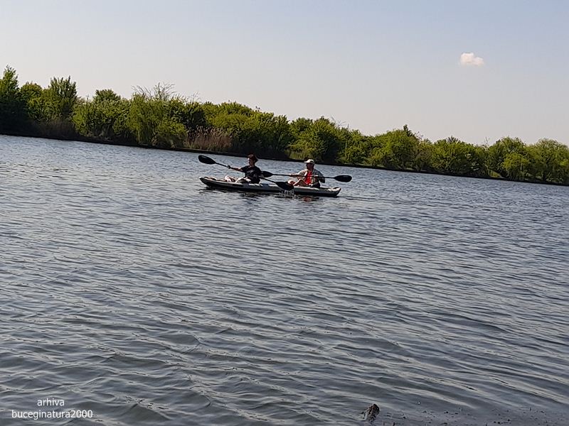 Pasari de lac si alte exemplare de fauna acvatica – BUCEGI NATURA 2000