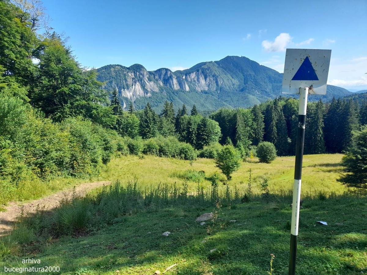 La excursie pe la Predeal: dus-intors prin Cheile Rasnoavei – BUCEGI ...