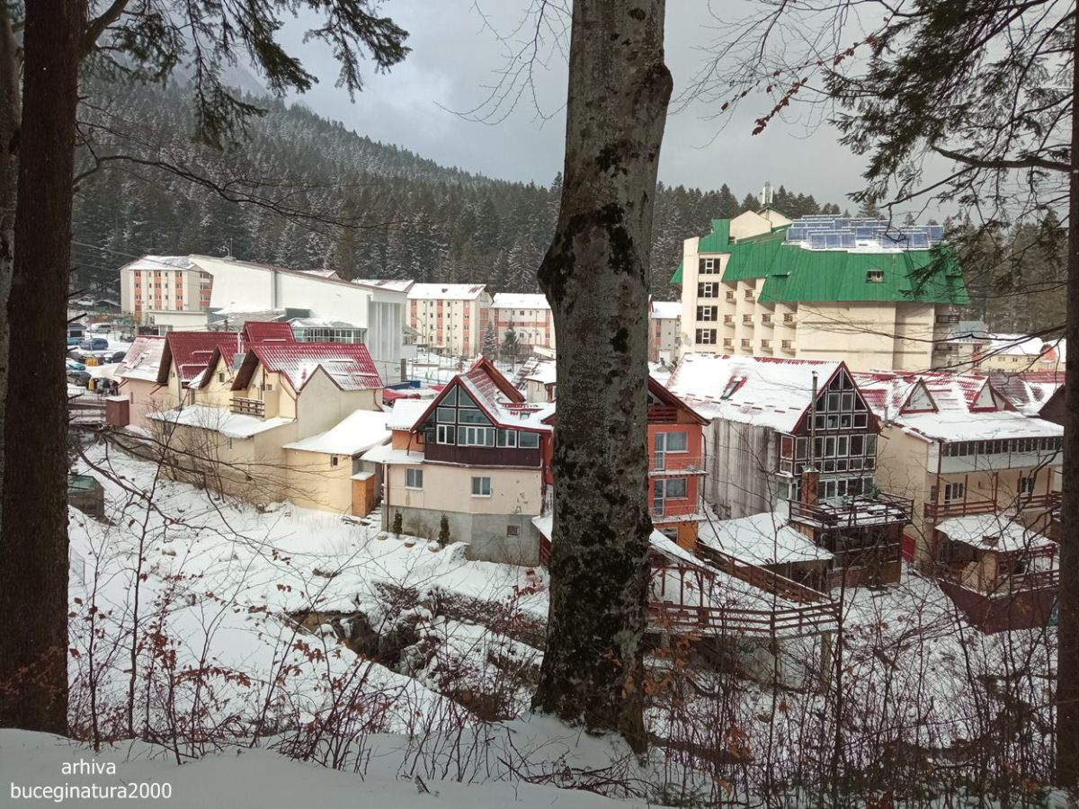 La Busteni: gara, padure, manastire – BUCEGI NATURA 2000