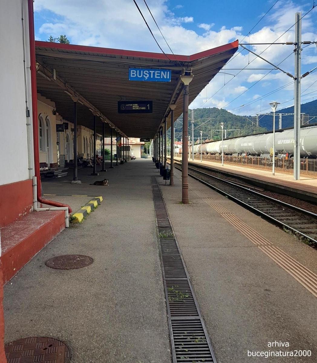 Busteni, ceva despre turism – BUCEGI NATURA 2000